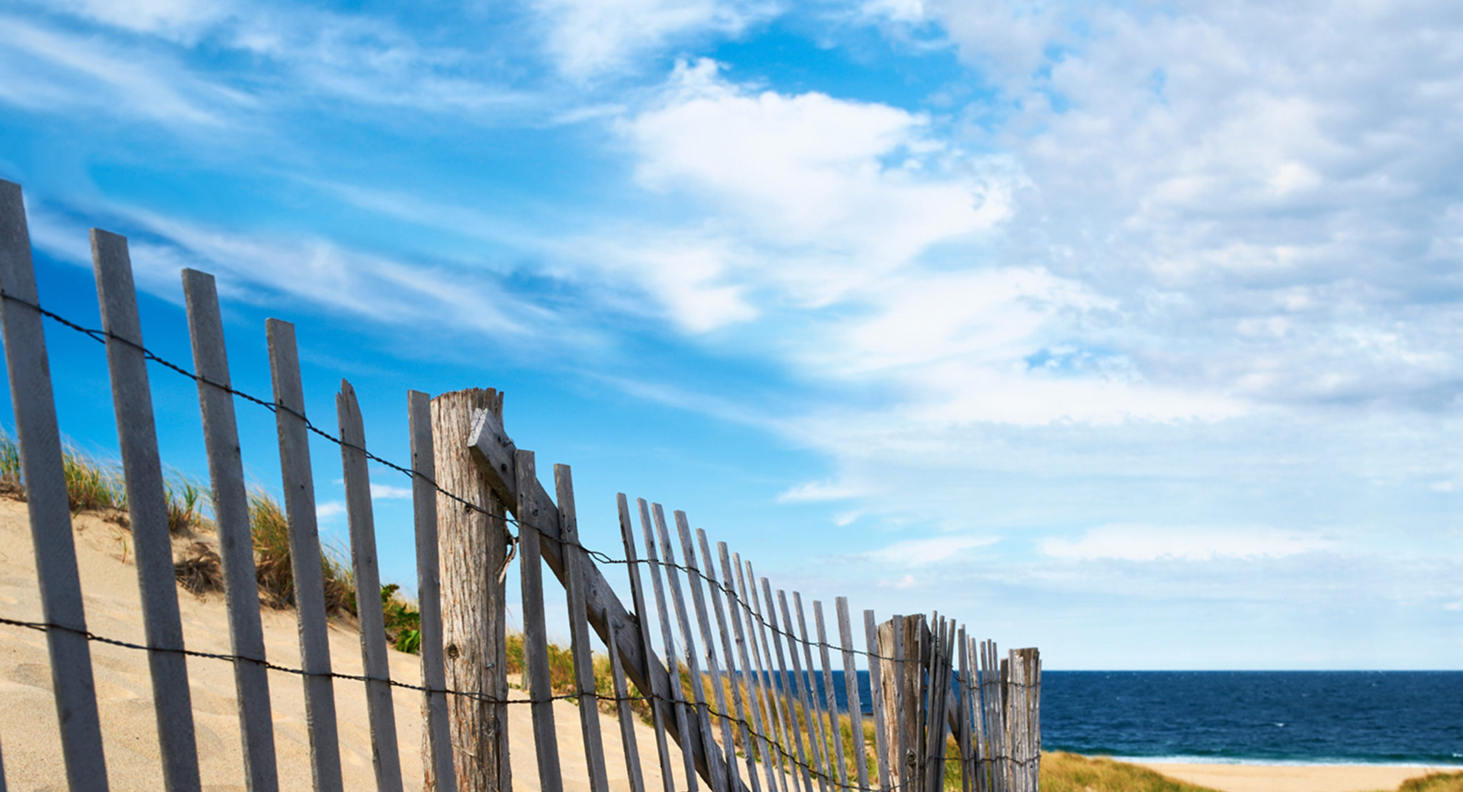 Where to Buy - Cape Cod Chips